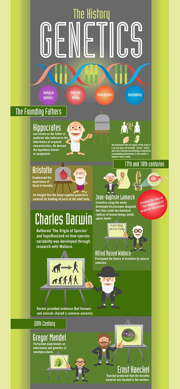 7 Reasons why your life science infographic isn’t as awesome as it could be