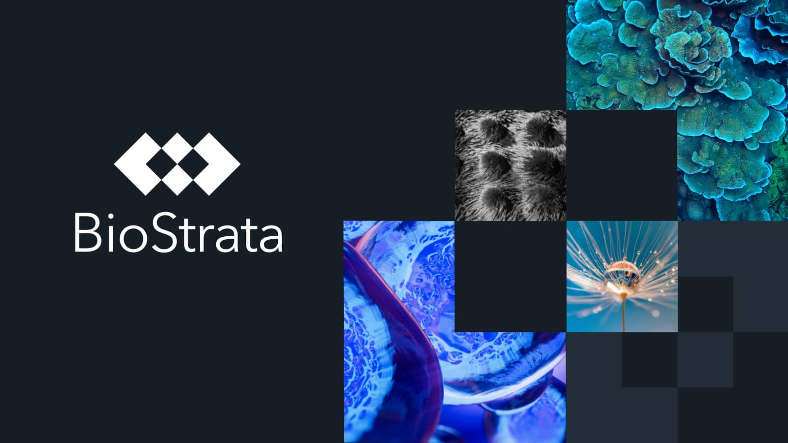 BioStrata | Life Science Marketing Agency