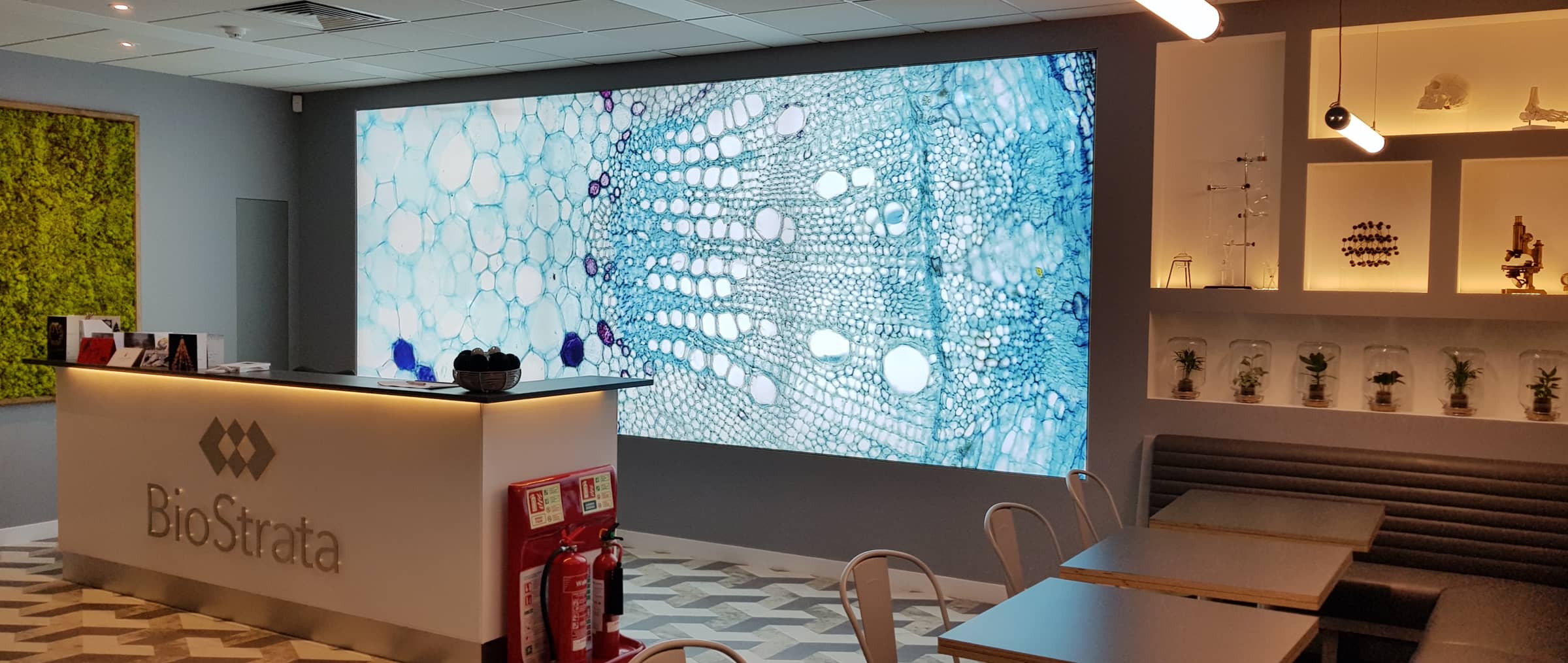 Careers in Life Science Marketing | Agency Jobs | BioStrata